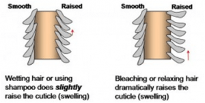 Jerry G Method Review: Updated 2023