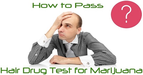 How to Pass a Hair Drug Test for Marijuana in 2025?