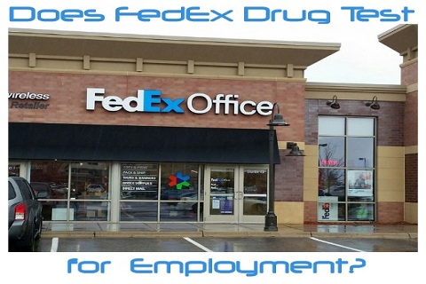 Does FedEx Drug Test for Employment 2026?: Get the Facts Here!!